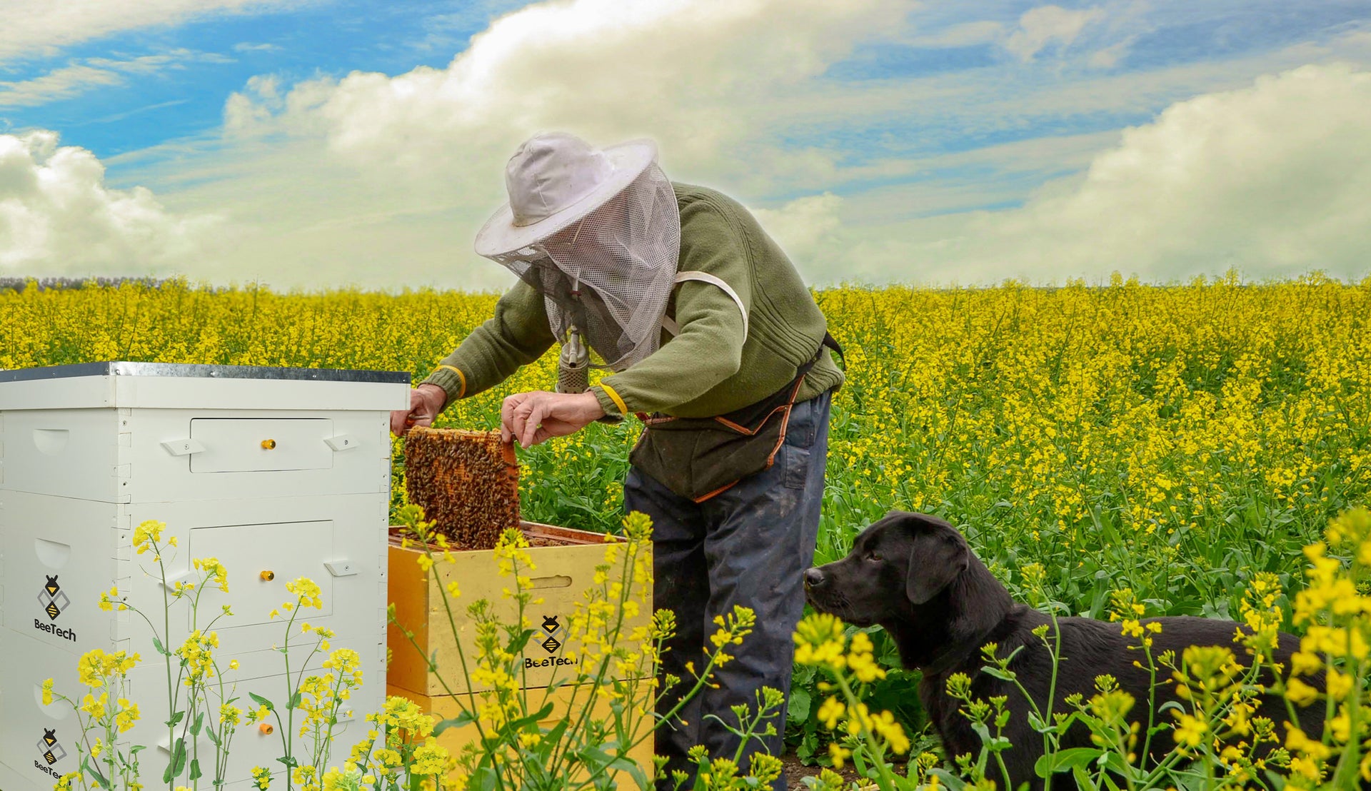 BeeTech Beekeeping Equipment